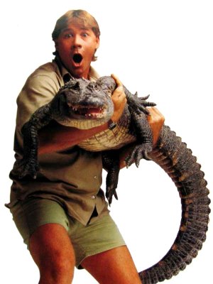 The My Hero Project - Steve Irwin