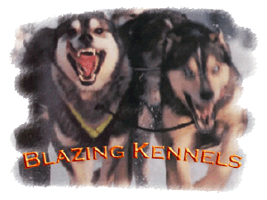 Libby Riddles | MY HERO