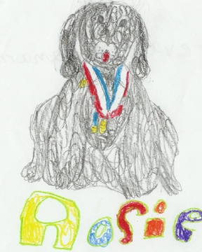 Rosie the Visiting Dog | MY HERO