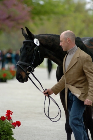 Andrew Hoy | MY HERO