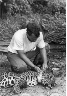 Alan Rabinowitz | MY HERO