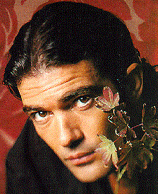 Jose Antonio Dominges Banderas | MY HERO