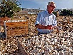 Don Christopher | MY HERO