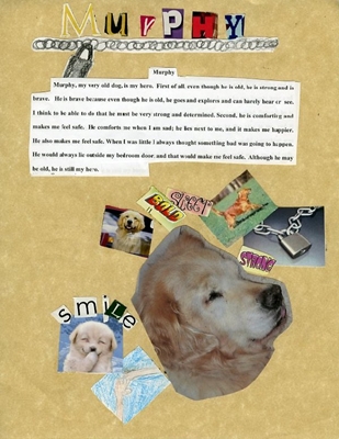 My Dog Murphy | My Dog Murphy | MY HERO