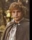 Samwise Gamgee | MY HERO