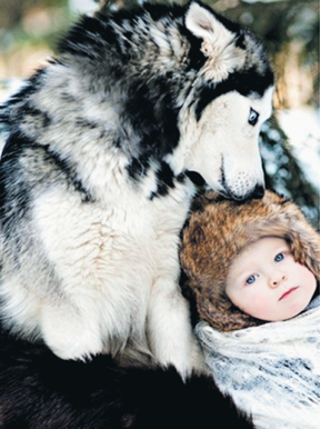 Devoted Friend | MY HERO