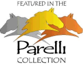 Pat Parelli | MY HERO
