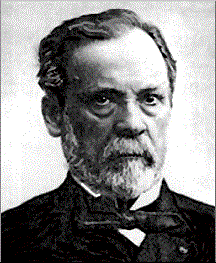 Louis Pasteur | MY HERO