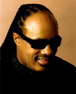 Stevland Hardaway Judkins a.k.a Stevie Wonder | MY HERO