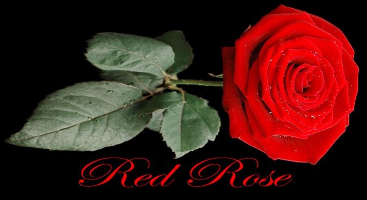 Maria Cordova | MY HERO