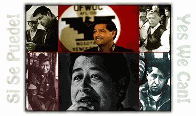 Cesar Chavez | MY HERO
