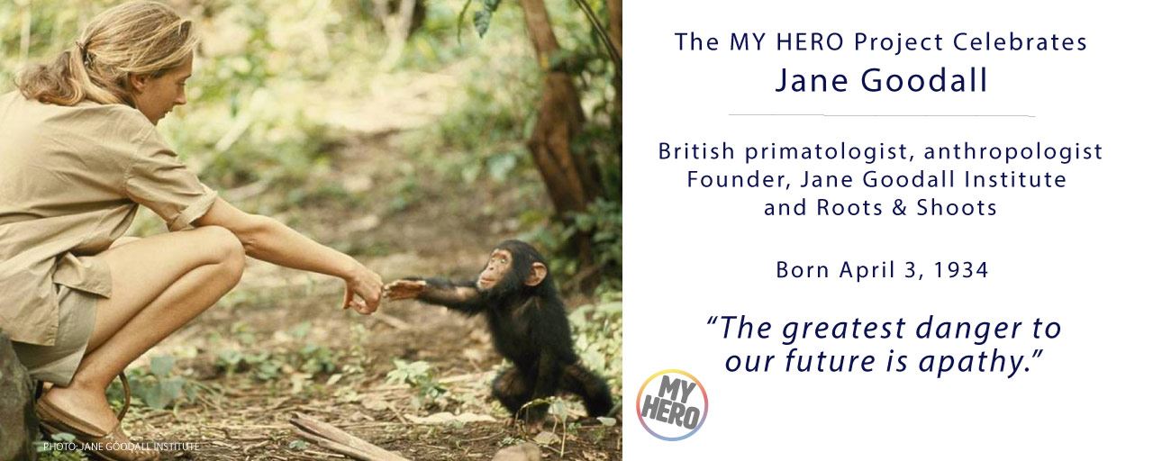 Jane Goodall Lesson Plan | MY HERO