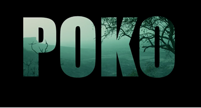 POKO | MY HERO