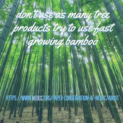 Save Trees- Use Paper Wisely by Musa | Save Trees- Use Paper Wisely by ...