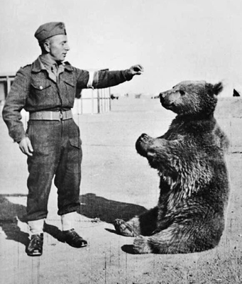 Wojtek the bear | MY HERO