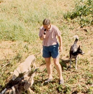 Susan Butcher | MY HERO