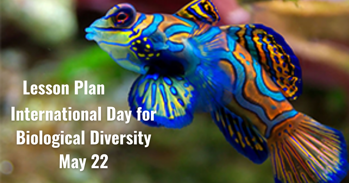 International Day for Biological Diversity Lesson Plan | MY HERO