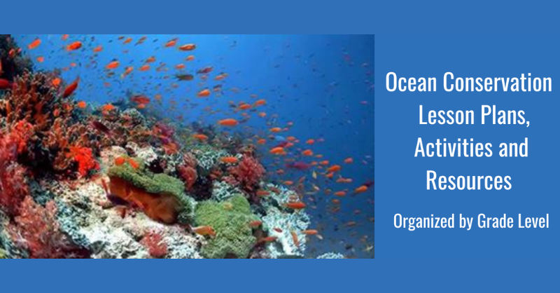 Ocean Stewards and Eco Heroes of Orange County | MY HERO