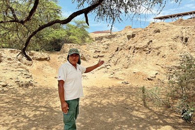 Meet Peru’s unsung hero of the Pómac Forest | MY HERO