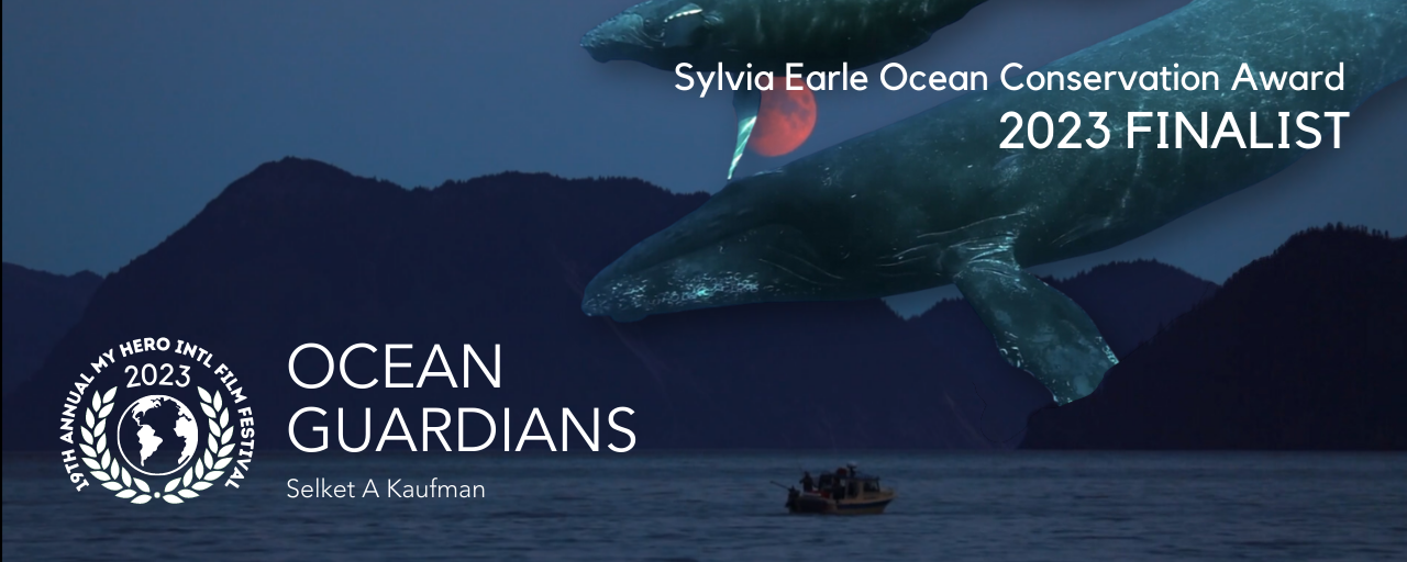 2023 Sylvia Earle Ocean Conservation Award Pubic Voting Activity for ...