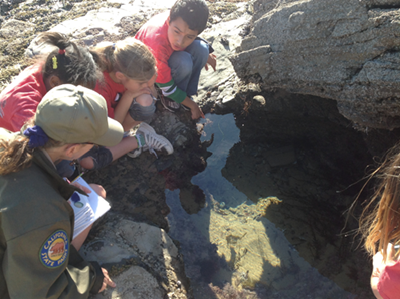 Massen Greene Foundation and Laguna Beach Community Foundation Present ...