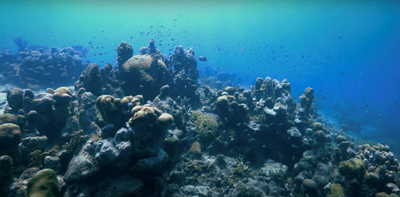 Spawning Hope | MY HERO