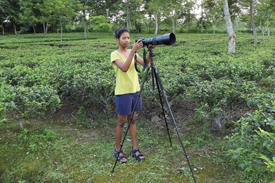 This program is planting a ‘forest’ of conservation-minded filmmakers ...