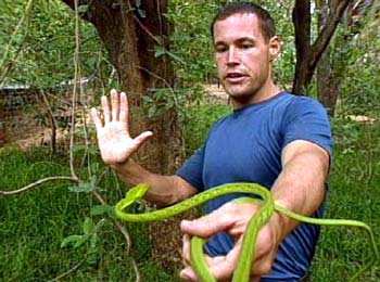 Jeffrey Samuel Corwin | MY HERO