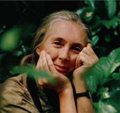 Jane Goodall | MY HERO