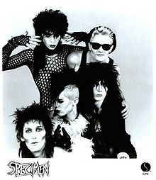 Olli Wisdom | MY HERO