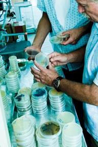 Bill Fenical | MY HERO