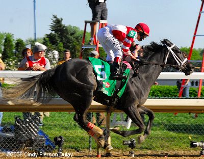 Eight Belles | MY HERO