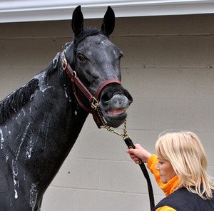 Eight Belles | MY HERO