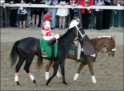 Eight Belles | MY HERO