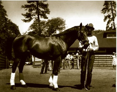 Seabiscuit | MY HERO