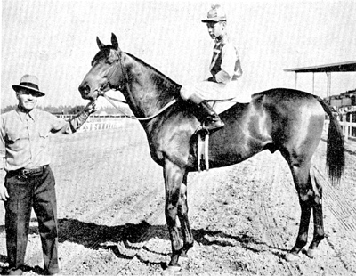 Seabiscuit | MY HERO