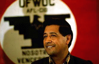 Cesar Chavez | MY HERO