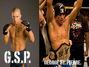 george st. pierre | MY HERO