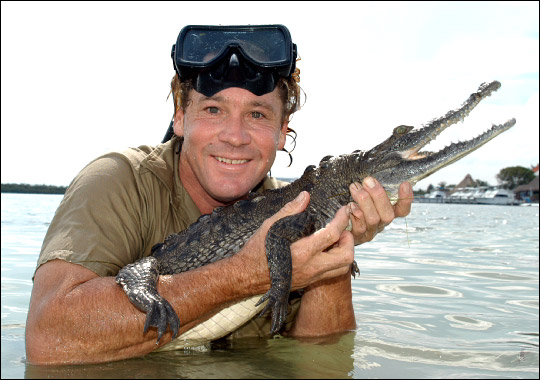 Steve Irwin (Crocodile Hunter) | MY HERO