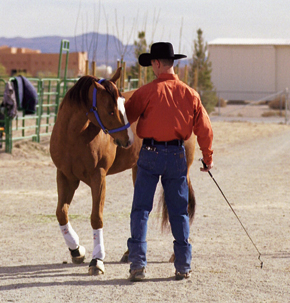 Josh Lyons | MY HERO