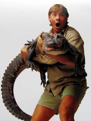 Steve Irwin | MY HERO