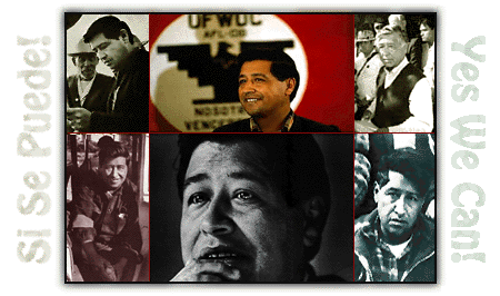 Cesar Chavez | MY HERO